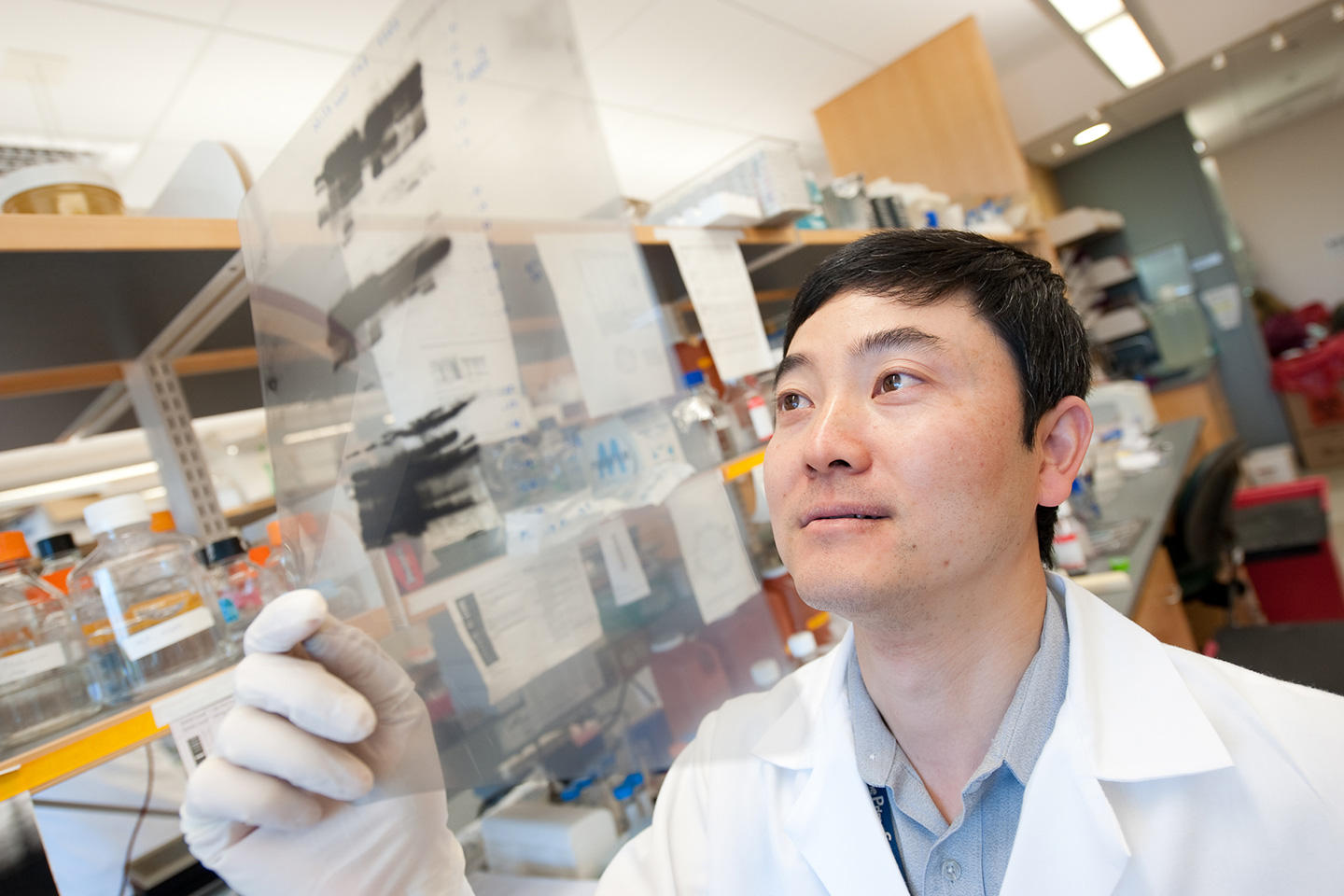 Research and Discovery | University of Massachusetts