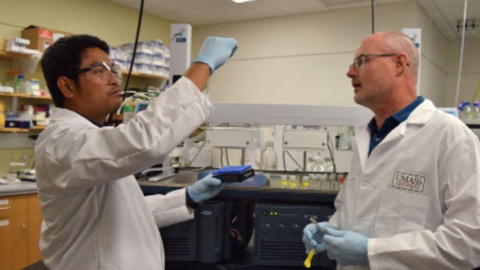 Core Facilities Capabilities | UMass System