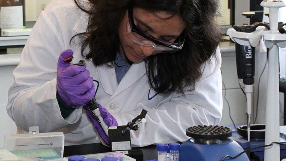 Core Facilities Capabilities | UMass System